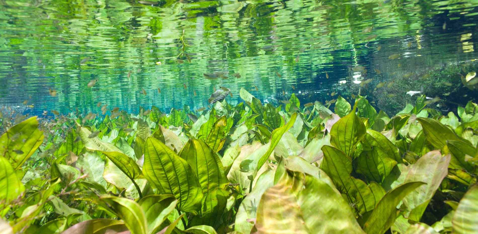 Home - FISHKEEP & CHILL