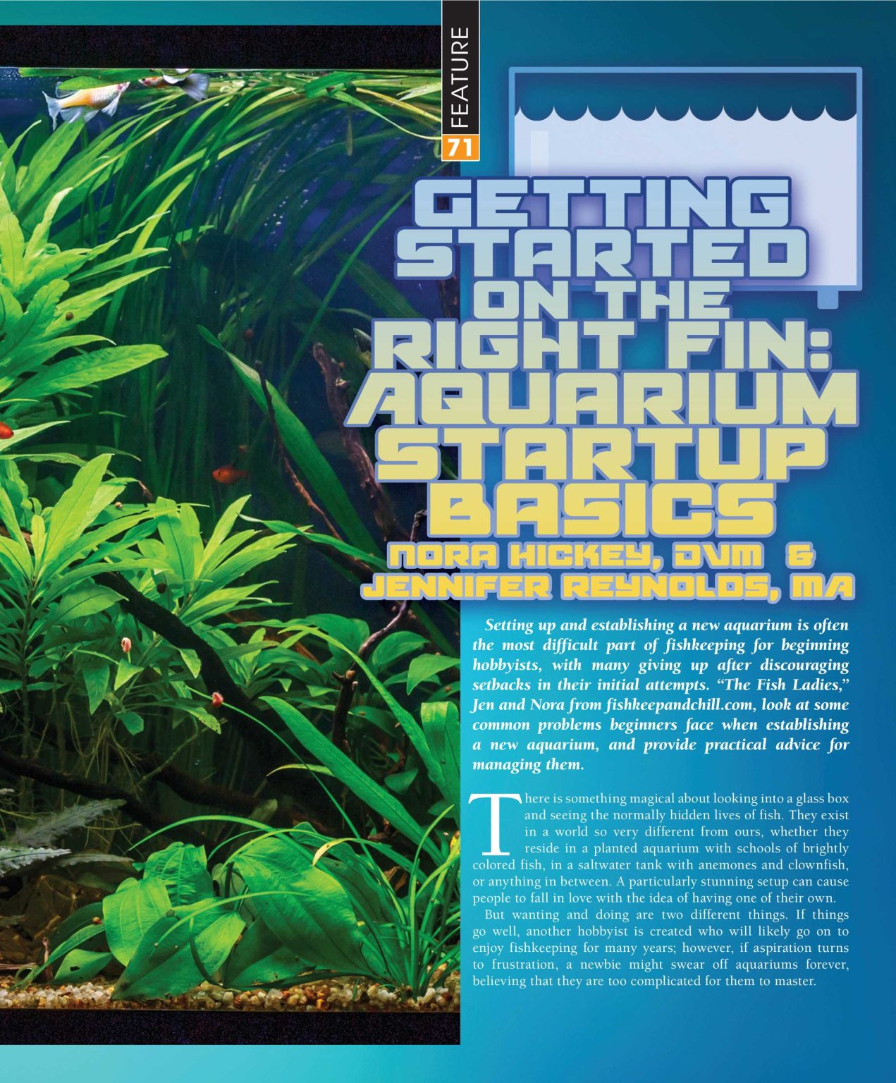 Getting Your Sea Legs: What to Consider When Stocking a First Aquarium ...
